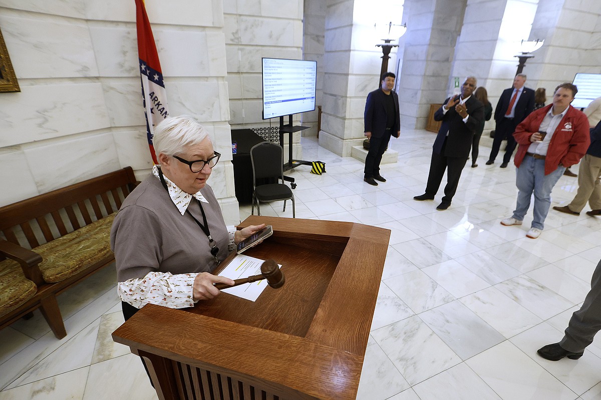 Bronni, Hill face challengers after final day of candidate filing | The ...