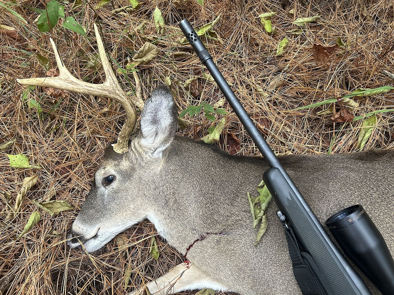 Deer hunting: Solunar tables important | Northwest Arkansas Democrat ...