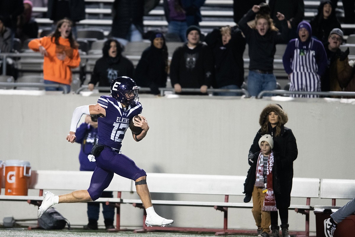 2-QB system pays dividends for Elks | The Arkansas Democrat-Gazette ...