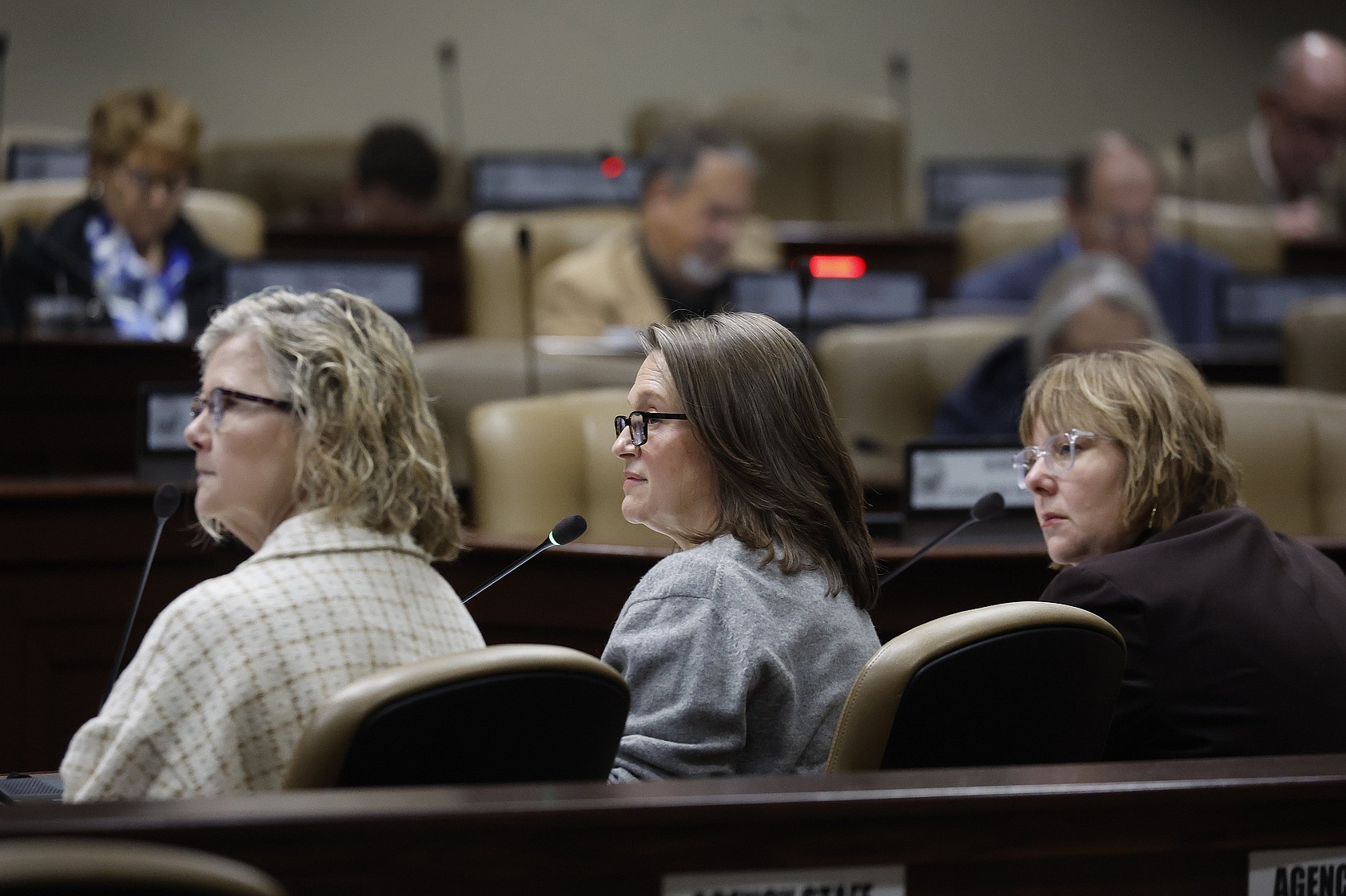 Legislative council hears state of TANF sub-grants, future funding in ...