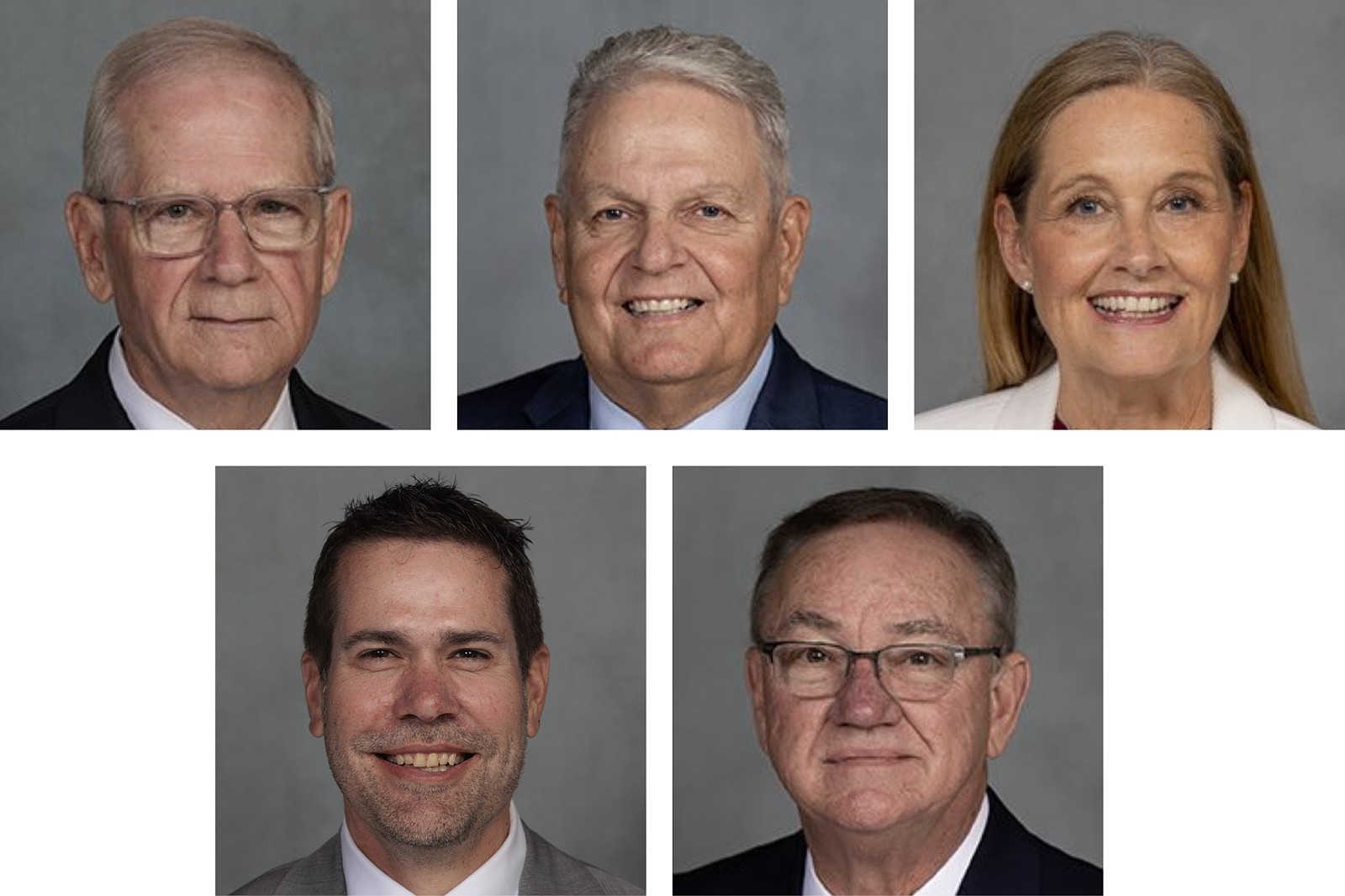 Business owner Brad Simon leads District 26 primary election ...