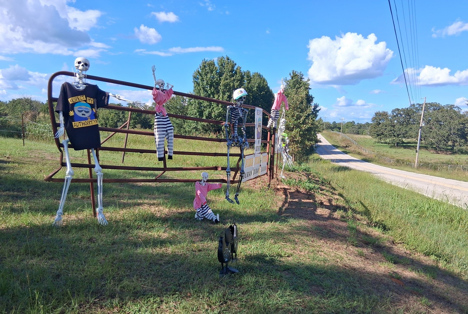Game camera across from Franklin County prison site attracts crows ...