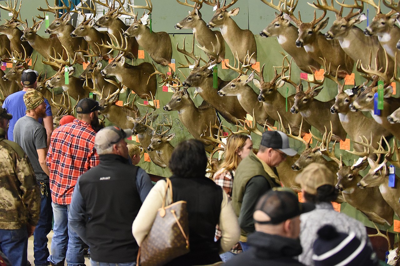 Arkansas Big Buck Classic: Hempstead County rack sets new state record ...