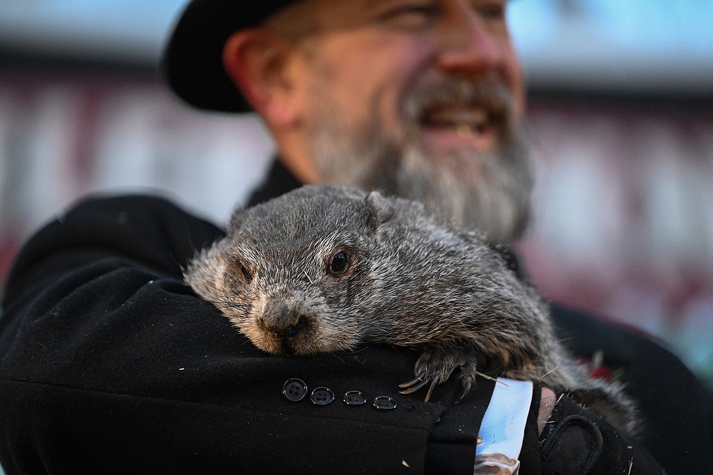 Punxsutawney Phil is said to have seen his shadow, forecasting 6 more ...