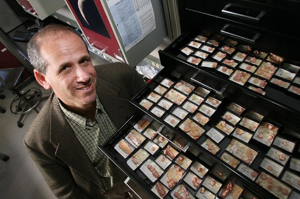 University of Arkansas, Fayetteville anthropology professor earns ...