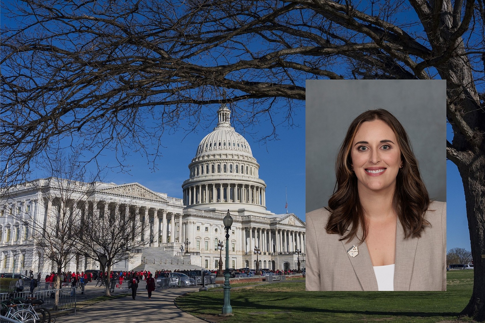 Shoffner wins Democratic nomination to challenge Cotton in November ...