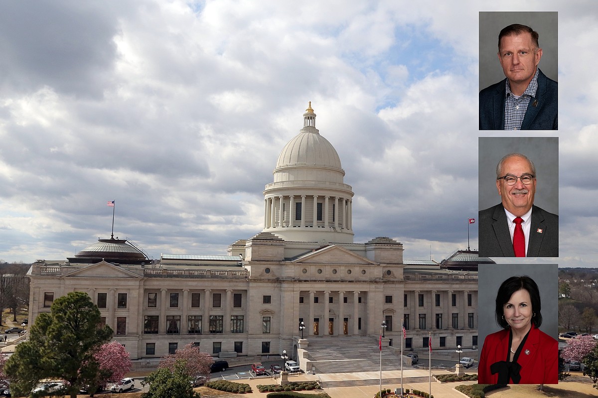 Runoff in secretary of state contest likely | The Arkansas Democrat ...