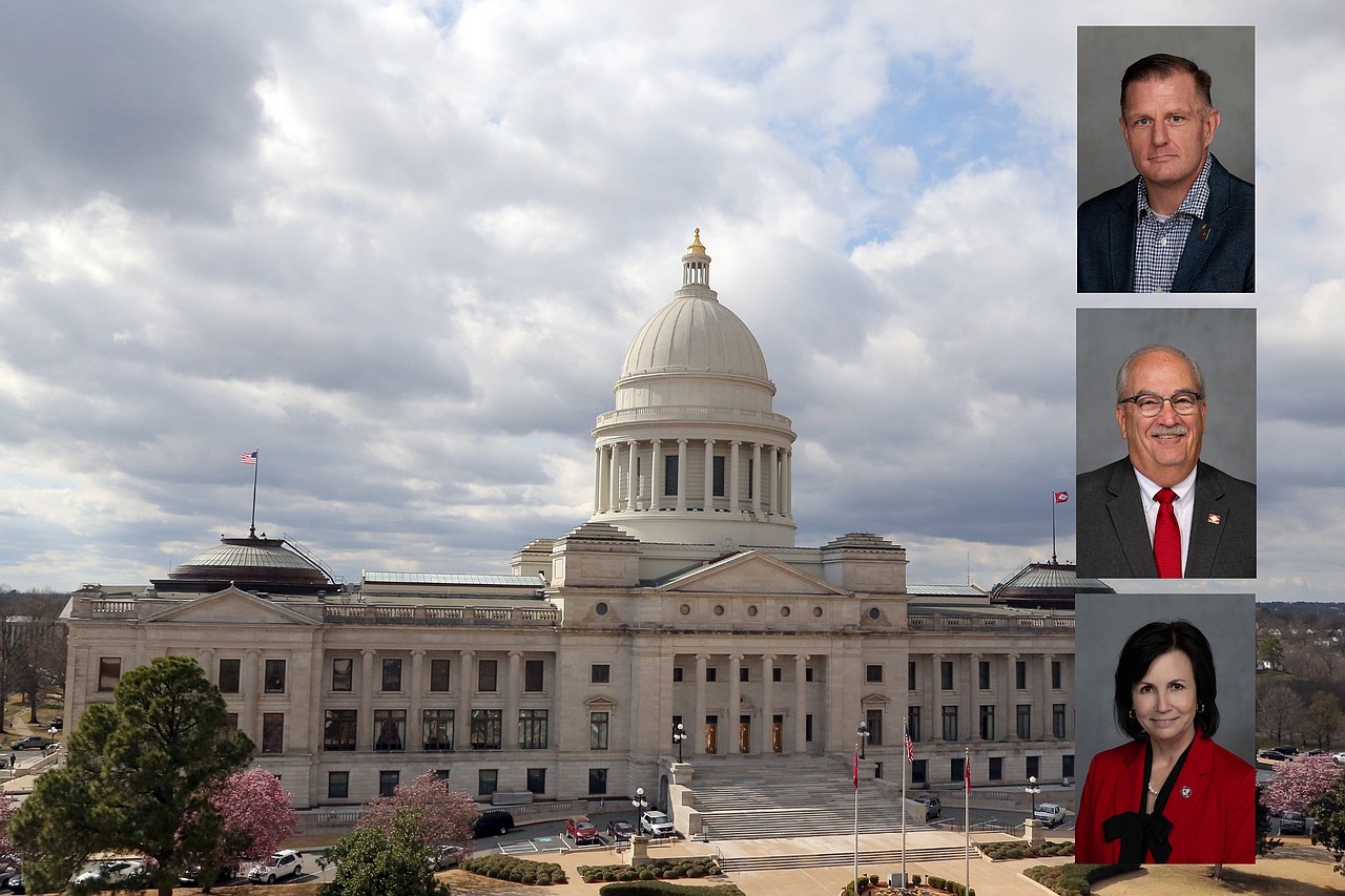 Runoff in secretary of state contest likely | The Arkansas Democrat ...
