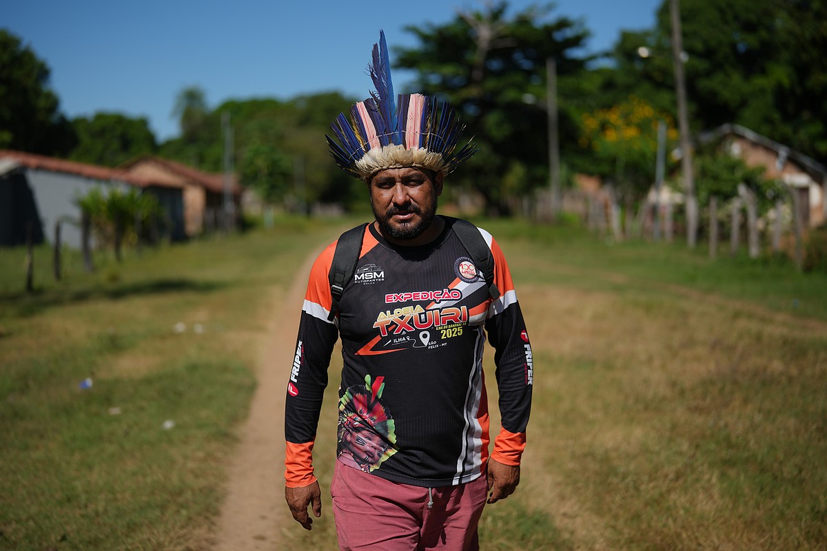 A conflict over cattle in Brazil's Amazon highlights tensions for ...