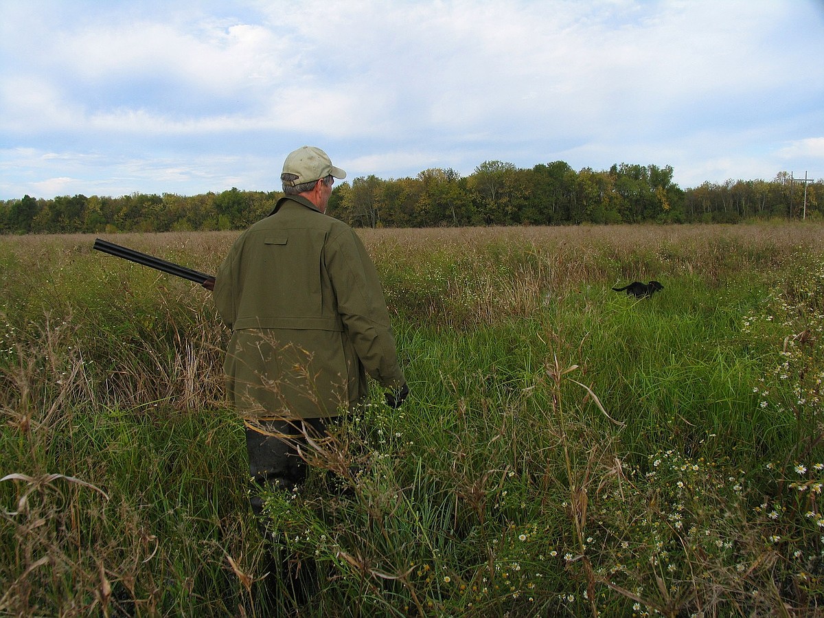 Cooperative Fish and Wildlife Research Unit faces budget cuts, possible ...