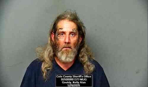 Fulton man charged with six stealing felonies | Fulton Sun