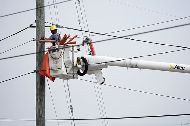 Snakes caused two power outages, EPB tells customers | Chattanooga ...
