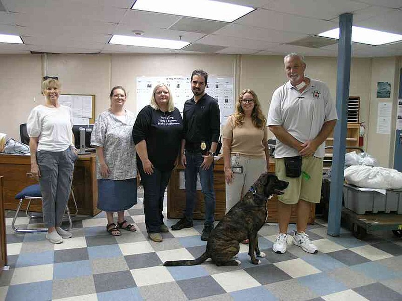 Puppies for Parole dog to find new home with elderly farming couple ...