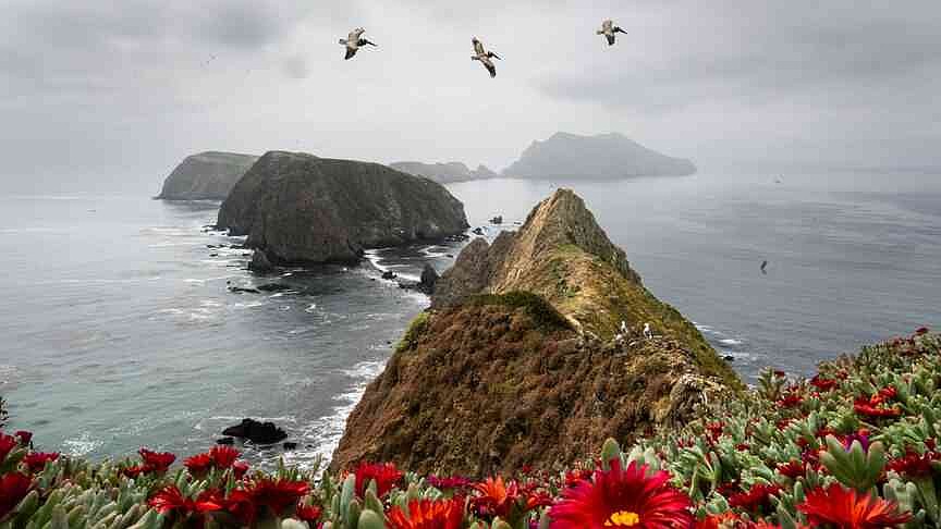 Explore the rugged beauty of Channel Islands National Park’s Anacapa ...