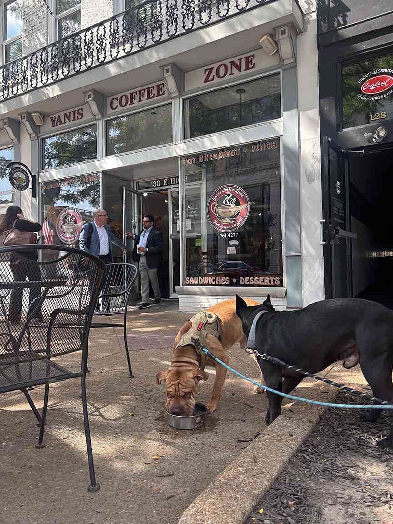 Pet-friendly places around town for furry friends | Jefferson City News ...