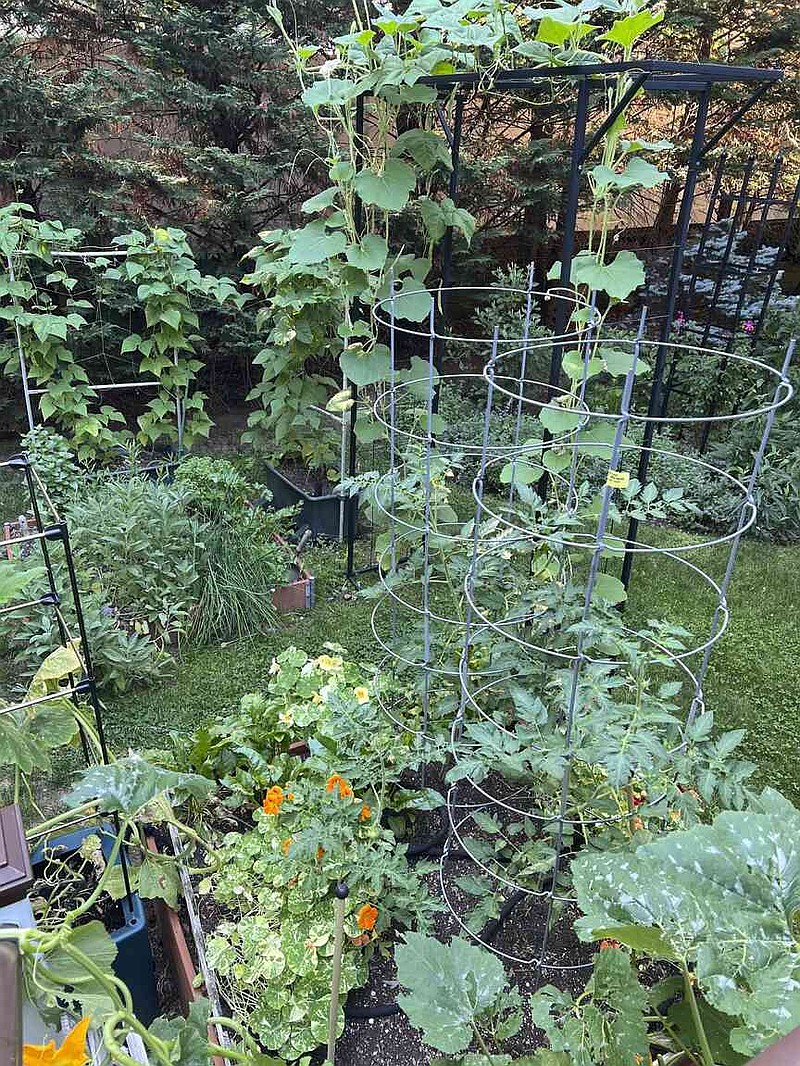 Transform your tiny garden into lush haven with these creative tips ...