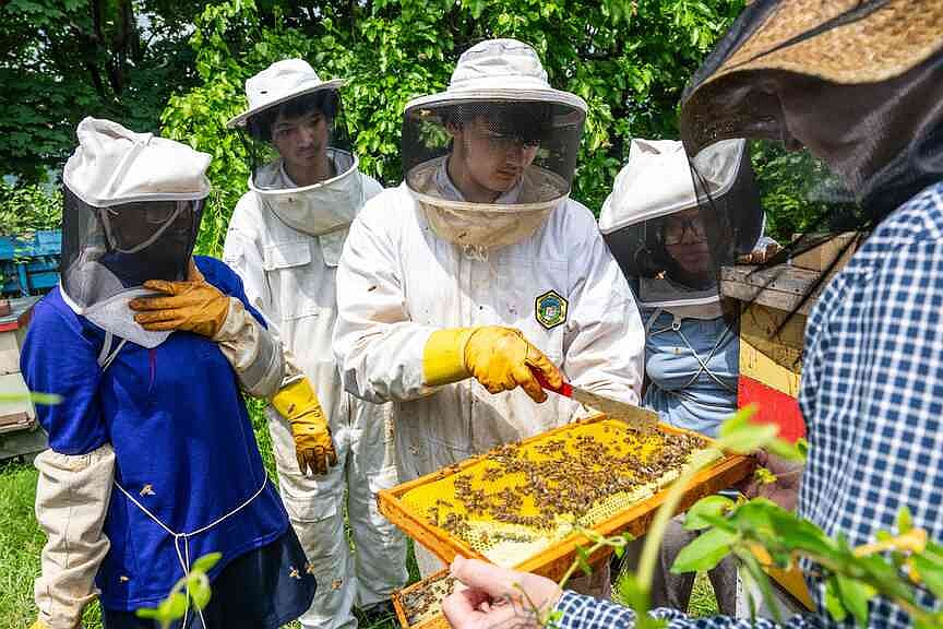 ‘You’re a beekeeper’: Students conquer their fears in this scary but ...