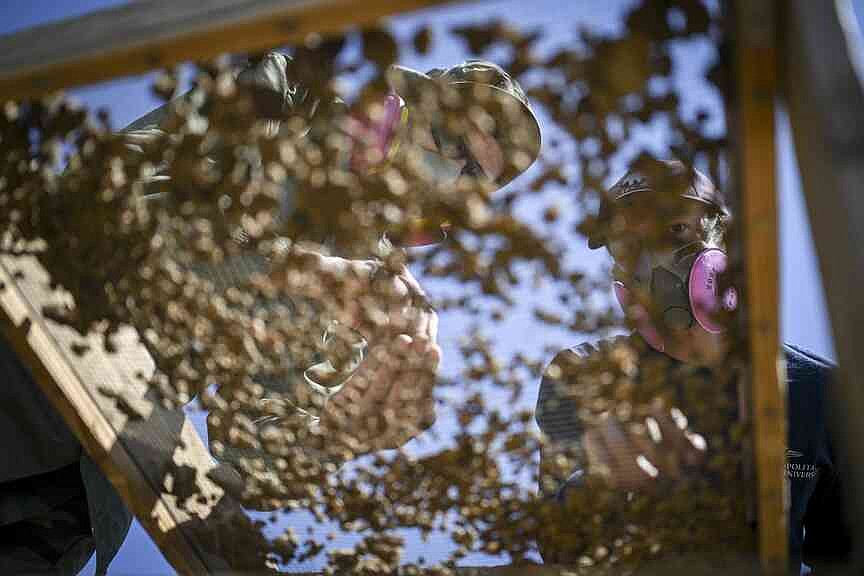 Colorado archaeology students sift through history at site of Central ...