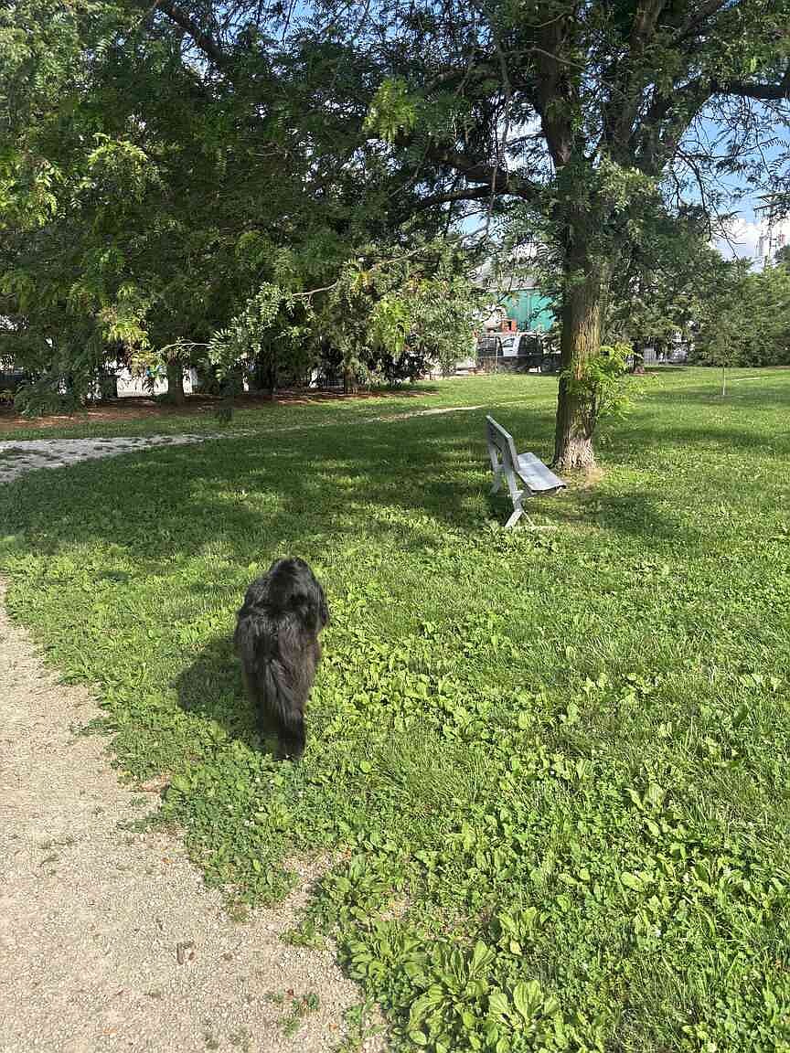 Pet owners offer advice for avoiding fleas, ticks | Jefferson City News ...