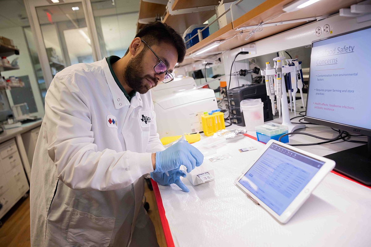 UT Dallas scientists create food sensor that detects unwanted bacteria ...