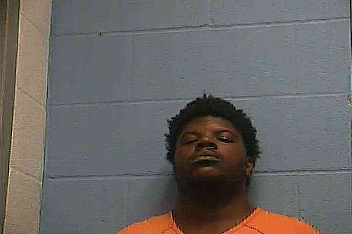 Two Camden men arrested after fleeing from police at 35 mph | Camden News