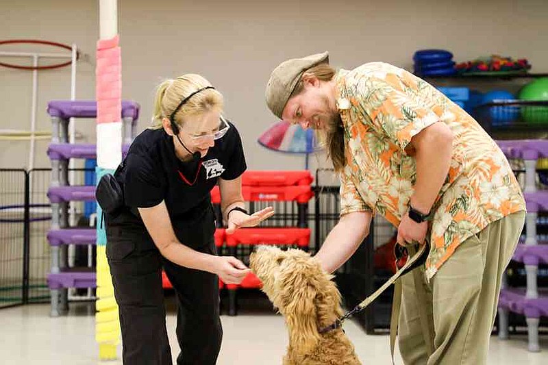 Local dog trainer offers advice for potty training your pup | Jefferson ...