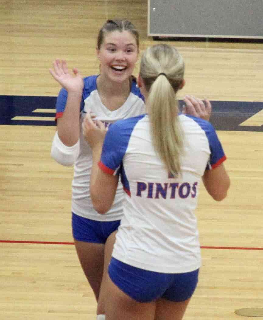 Volleyball off to a hot 3-1 start | California Democrat