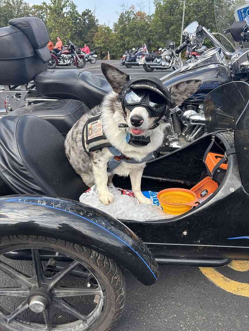Motorcycle event raises funds for Salvation Army homeless shelter ...