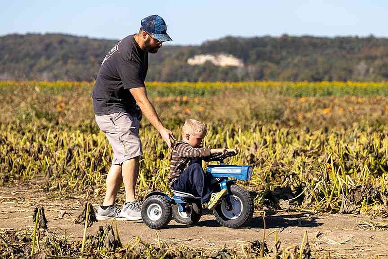 Fall farm festivals will include produce, mazes, cow-patty Bingo ...
