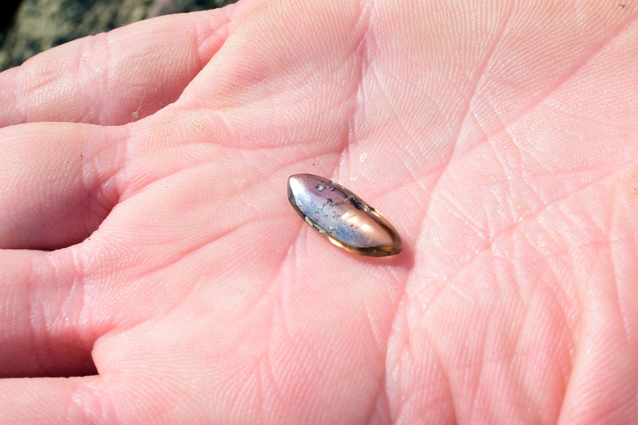 Oklahoma family finds 2.79-carat brown diamond in Crater of Diamonds ...
