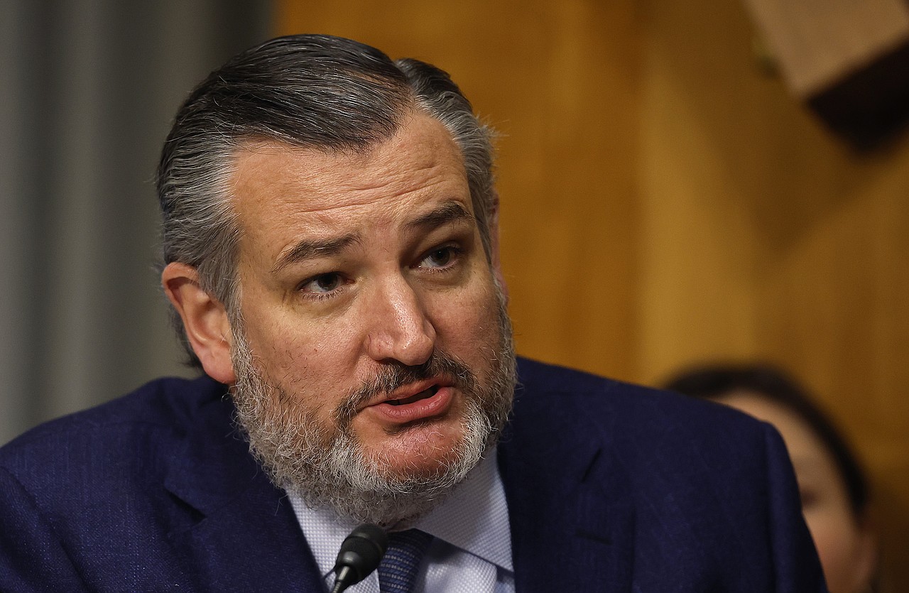 Cruz 'sandbox' plan for AI draws support, detractors | Texarkana Gazette