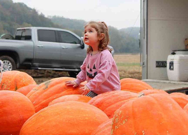 Hartsburg once again becomes Missouri’s Pumpkin Patch | Jefferson City ...