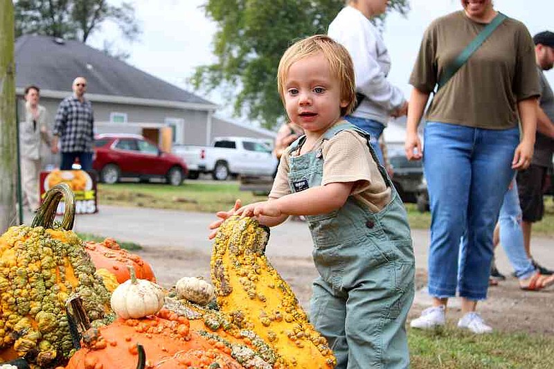 Hartsburg once again becomes Missouri’s Pumpkin Patch | Jefferson City ...