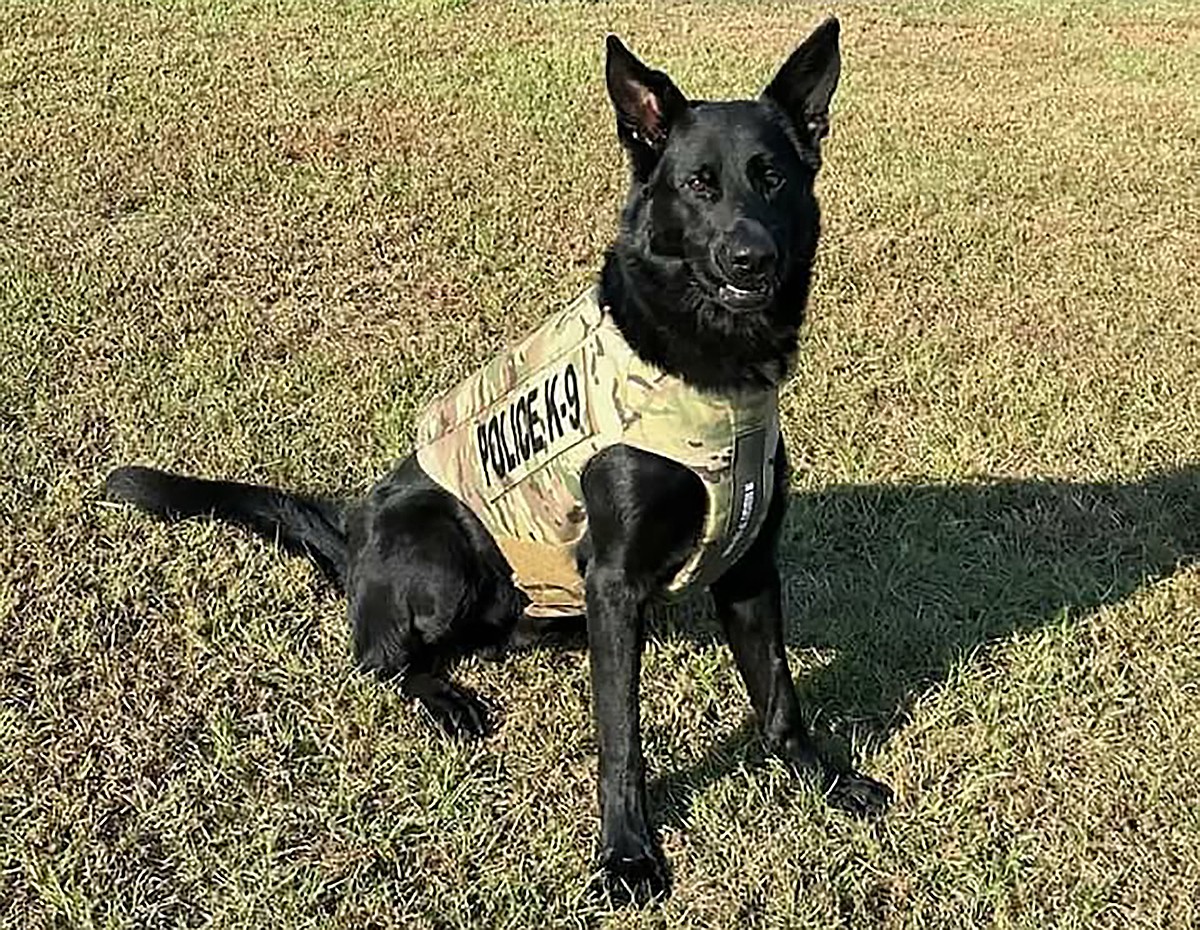 Nonprofit donates protective vest to New Boston police K9 Goose ...