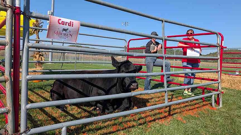 Inaugural Farmfest puts spotlight on local agriculture | Fulton Sun