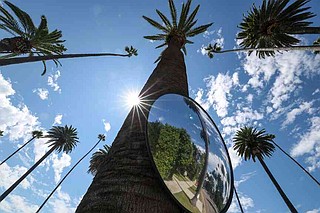 Iconic Beverly Hills palm tree streets have tourist problem | Jefferson ...