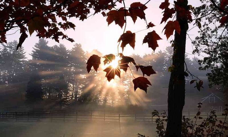 Here’s what happens to your body when clocks ‘fall back’ an hour ...
