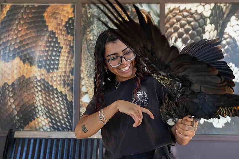 Teaching zoo trains students for animal careers with tigers, serval ...
