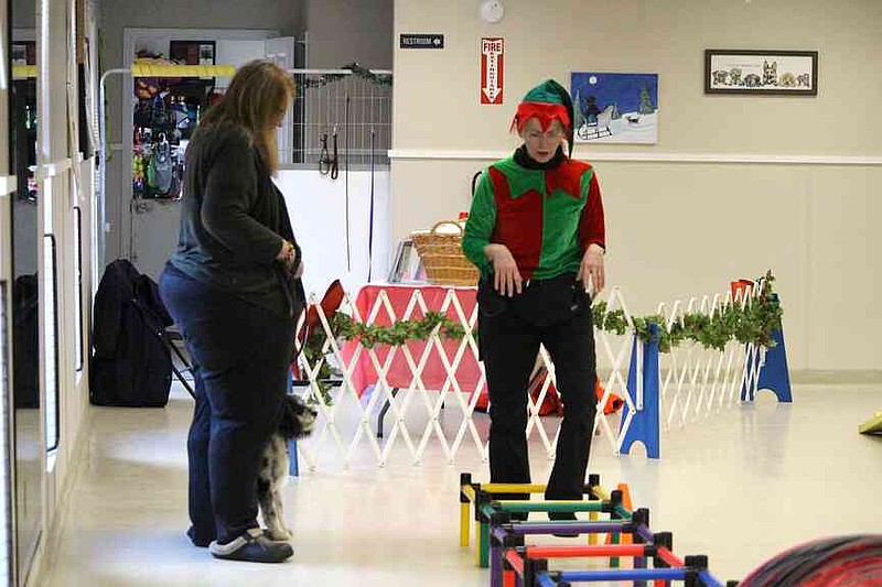 Canines ring in season with first Holidog Party | Jefferson City News ...