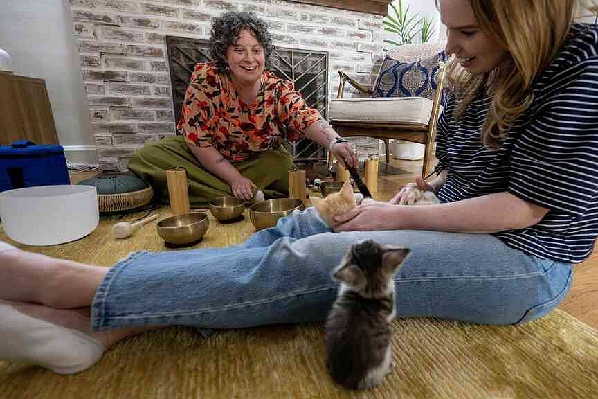 Heidi Gardener’s cats love their weekly sound baths. Now they’re ...