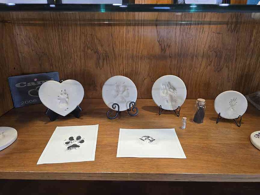 Local options to memorialize pet | Jefferson City News Tribune