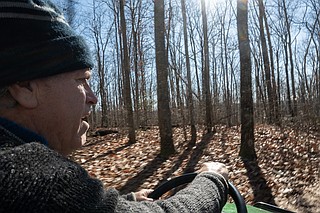One tree at a time: Group of hemlock conservationists keeps at it in ...