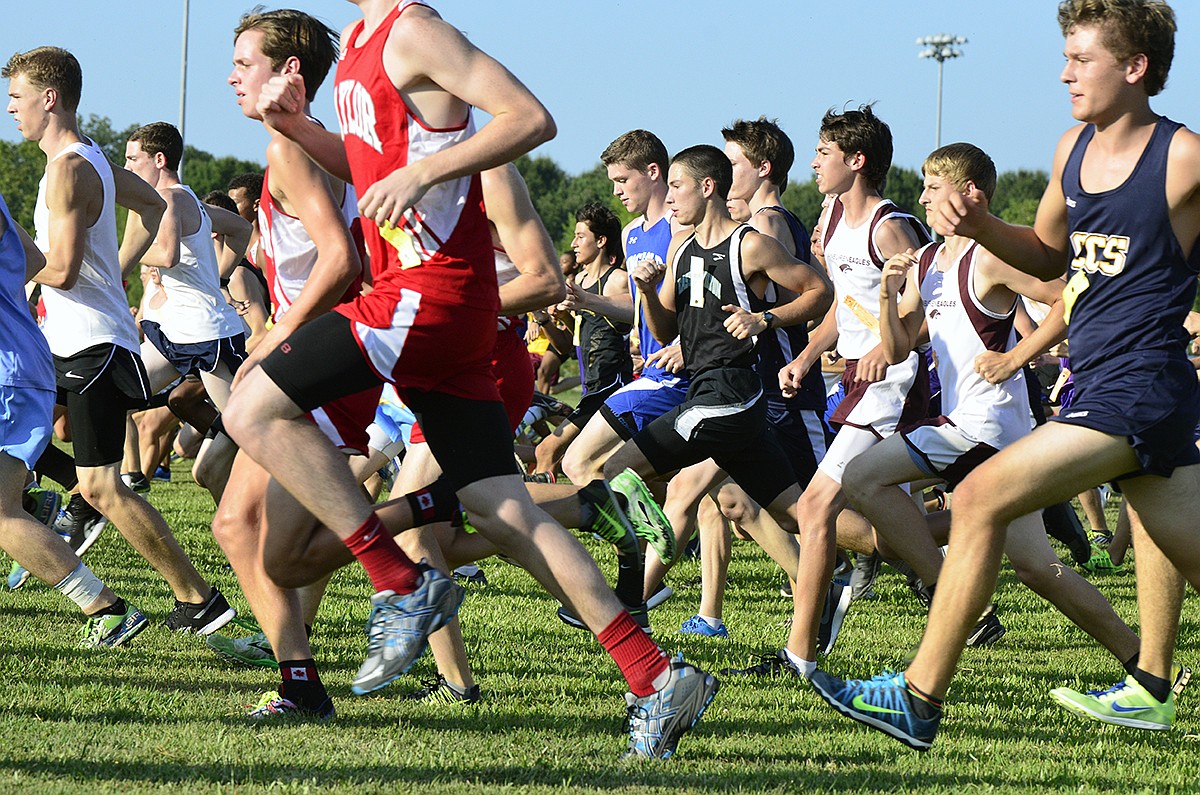 Chattanooga area has 15 all-state picks combined in cross country, golf ...