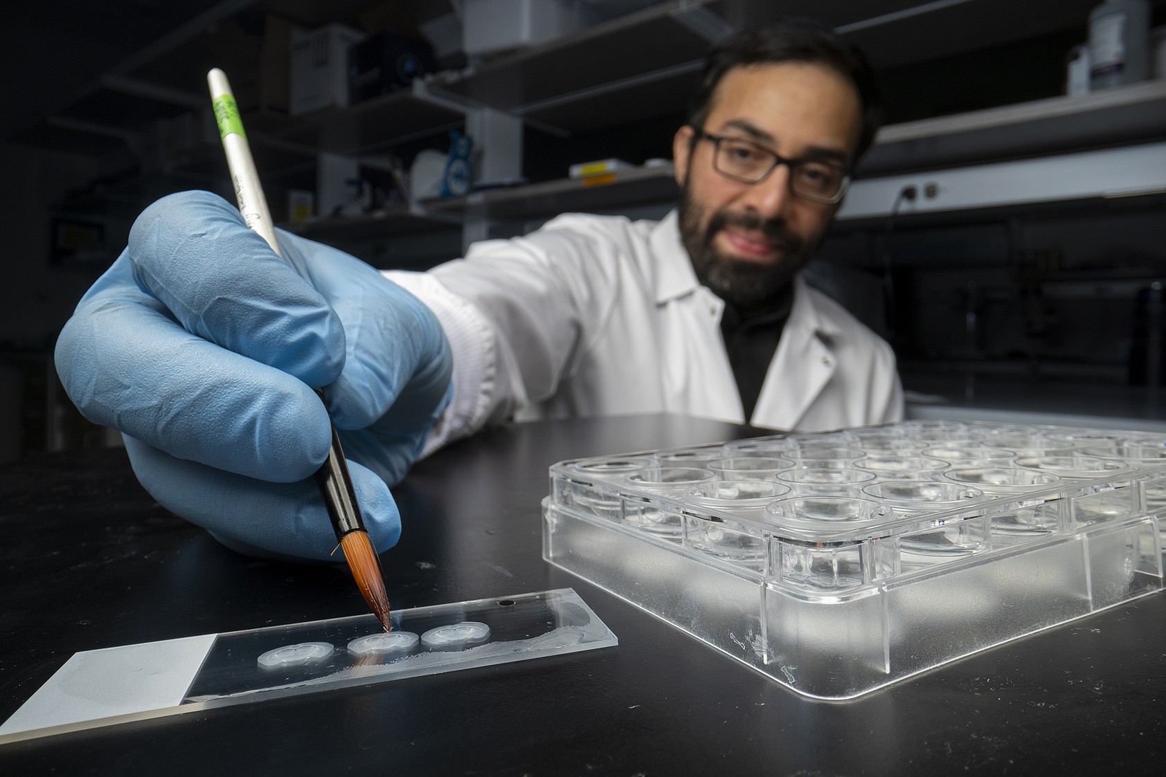 'Memory manipulation is inevitable': How rewriting memory in the lab ...