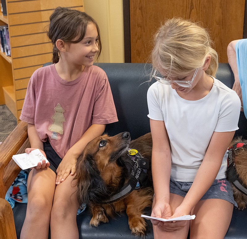Therapy dogs serve multiple purposes | Jefferson City News Tribune