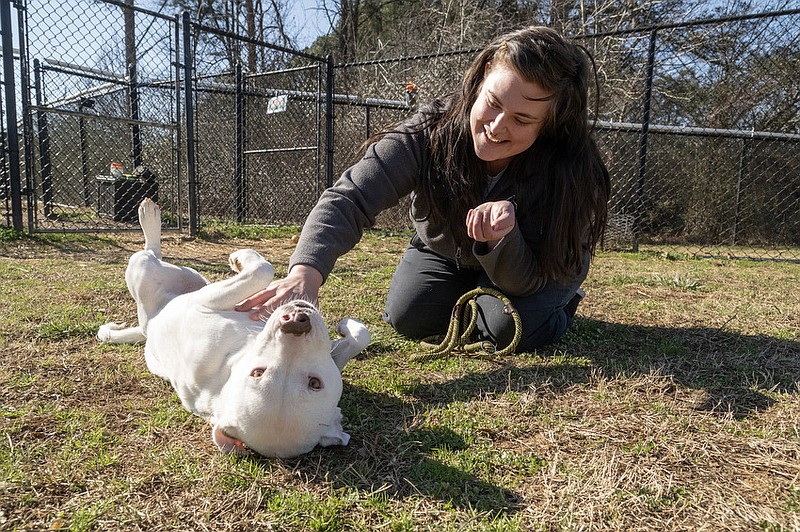 Chattanooga forecast trends from snow toward ice as winter storm nears ...