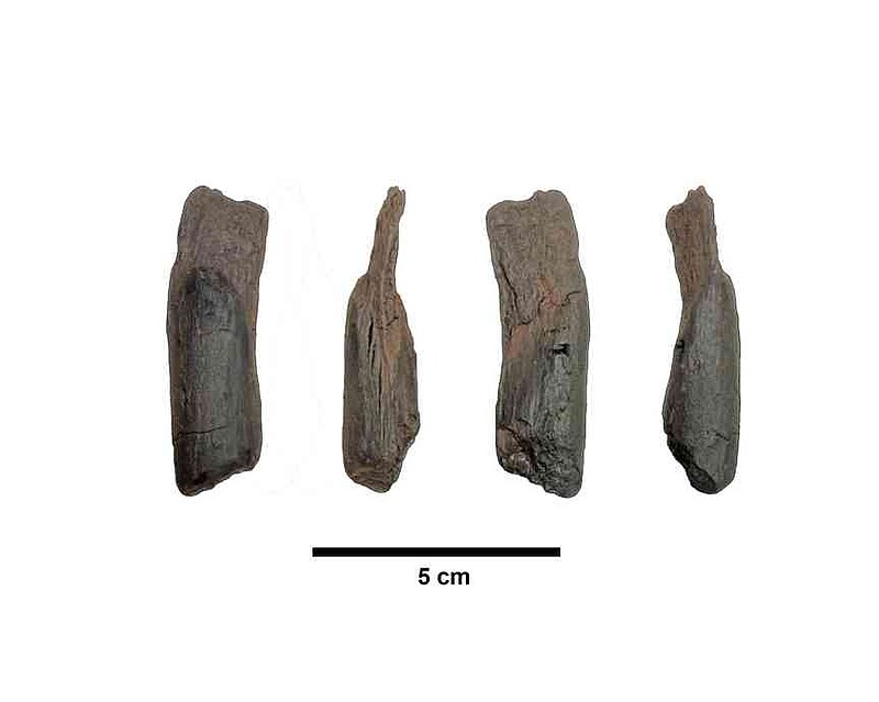 Oldest known wooden tools found at lake shore in Greece | Texarkana Gazette