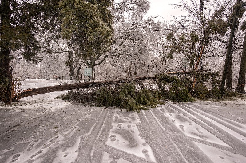 Trump approves emergency funding for Tennessee winter storm fallout ...