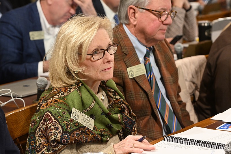 Agency responsible for child welfare services in Georgia is on track ...