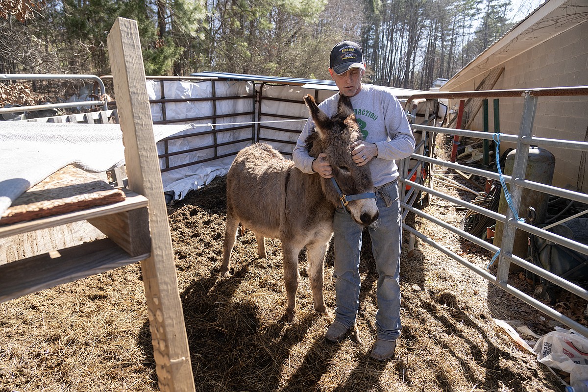 Hamilton County man charged with animal cruelty kept 27 goats, horses ...